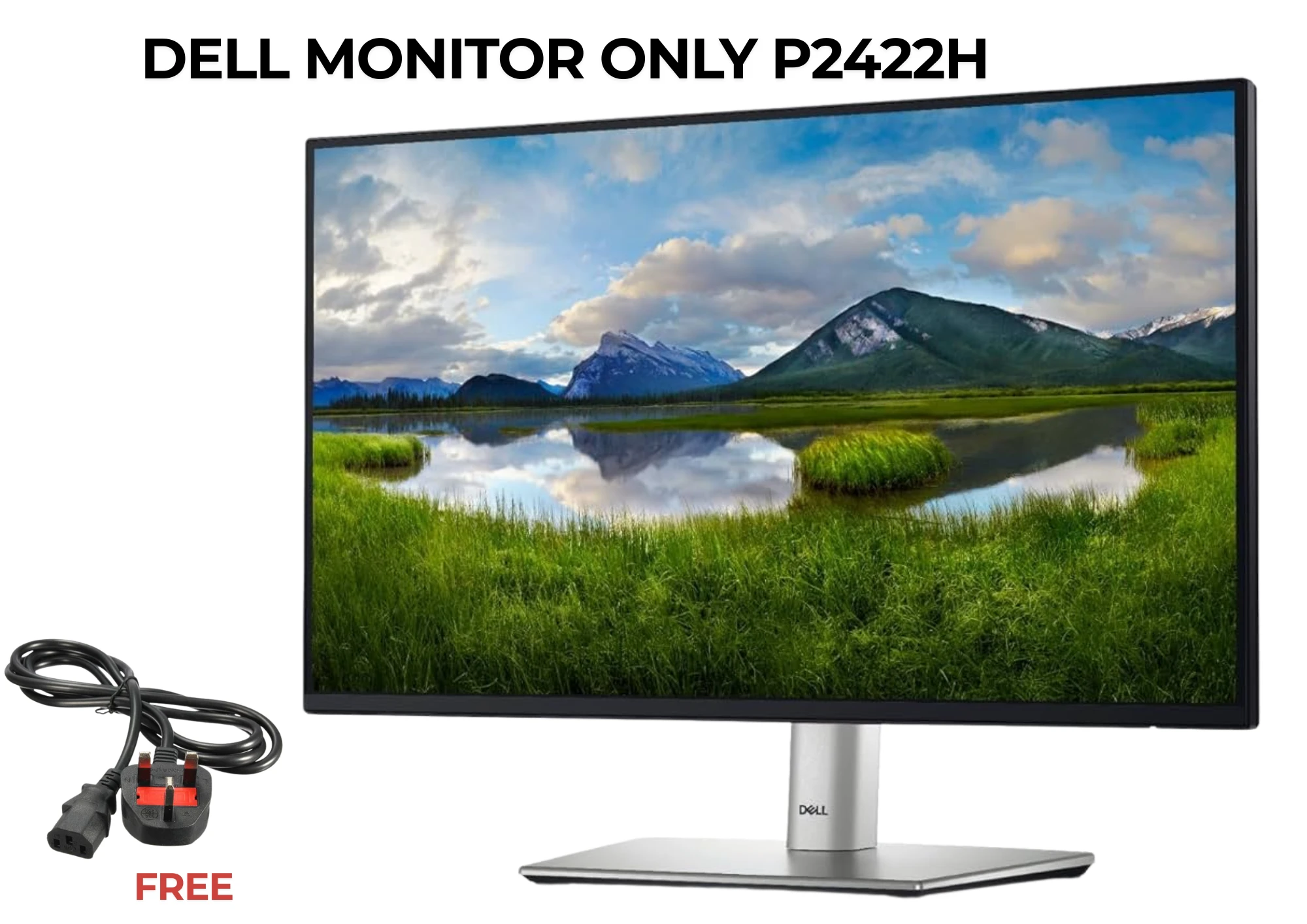 DELL MONITOR ONLY P2422H (BM72)